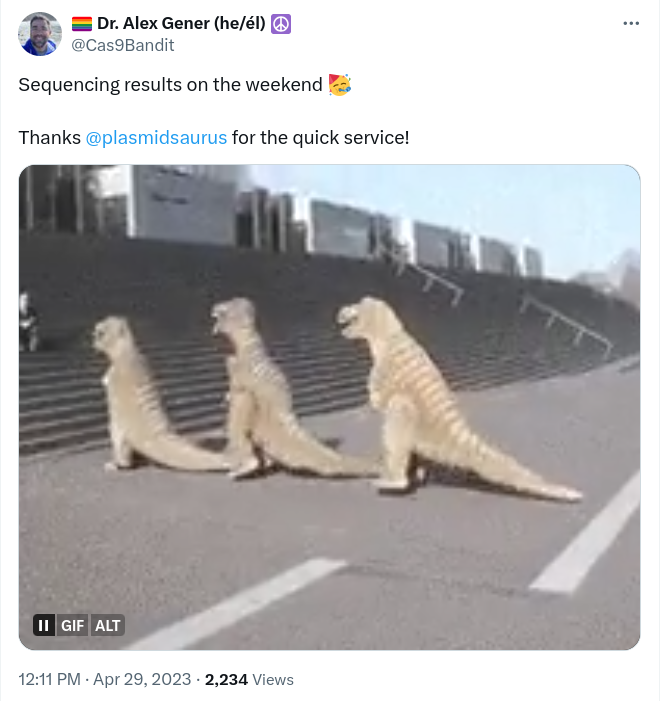 Plasmidsaurus :: Sequence everything.